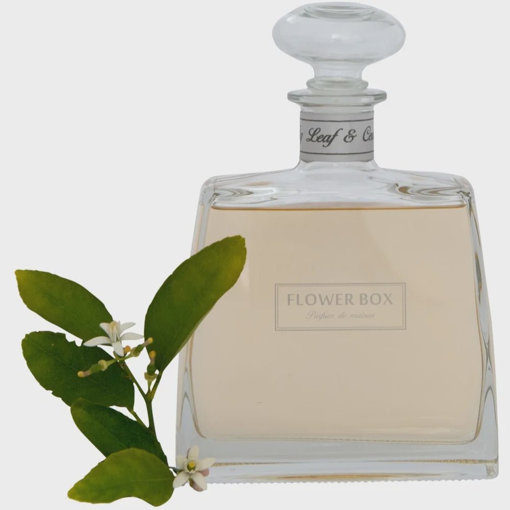 Hallmark Diffuser Fig Leaf & Cedar – Home Basics & Design