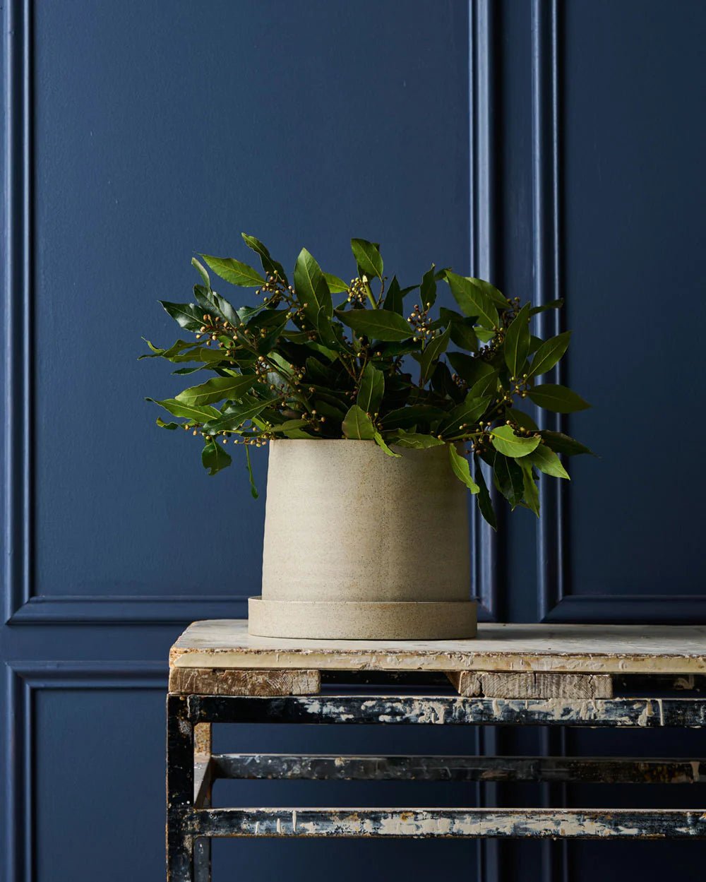 Garden to Table Plant Pot | Shop Online & In-Store – Home Basics & Design